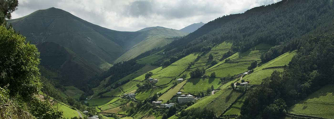 The Essence of Asturian Flavors | Foods and Wines from Spain