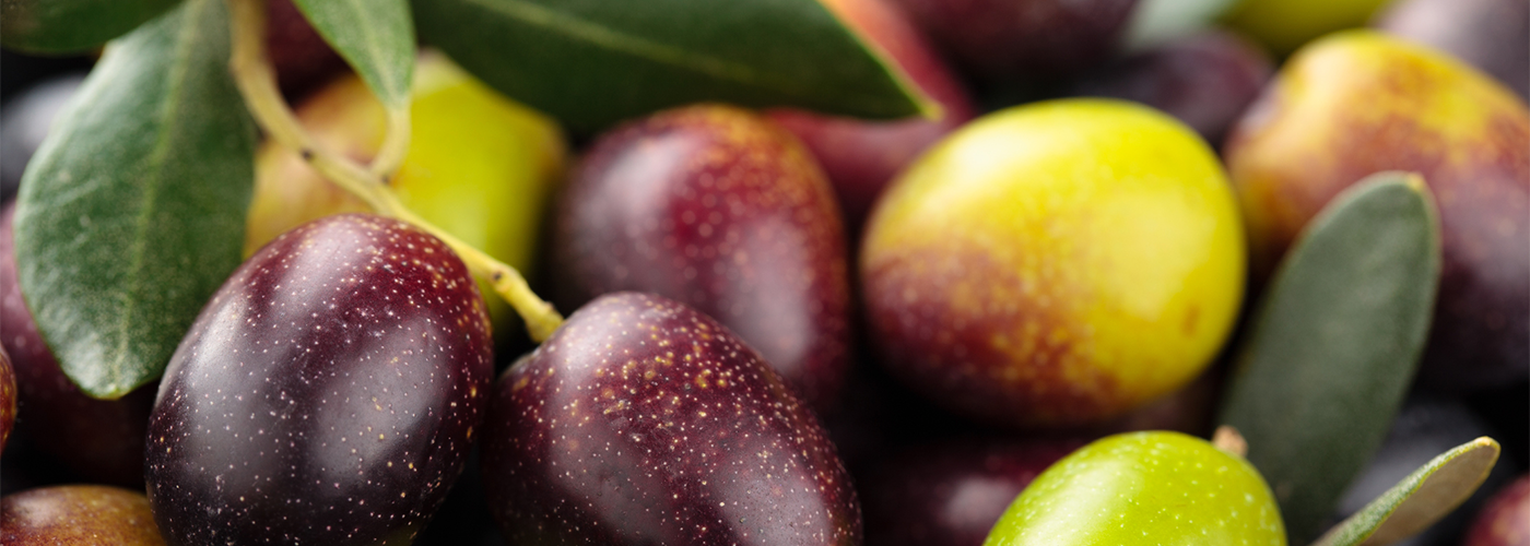 The secret to Spanish EVOO | Foods & Wines from Spain