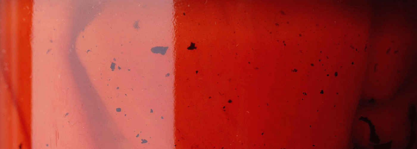 The Perfect Piquillo Pepper | Foods & Wines from Spain