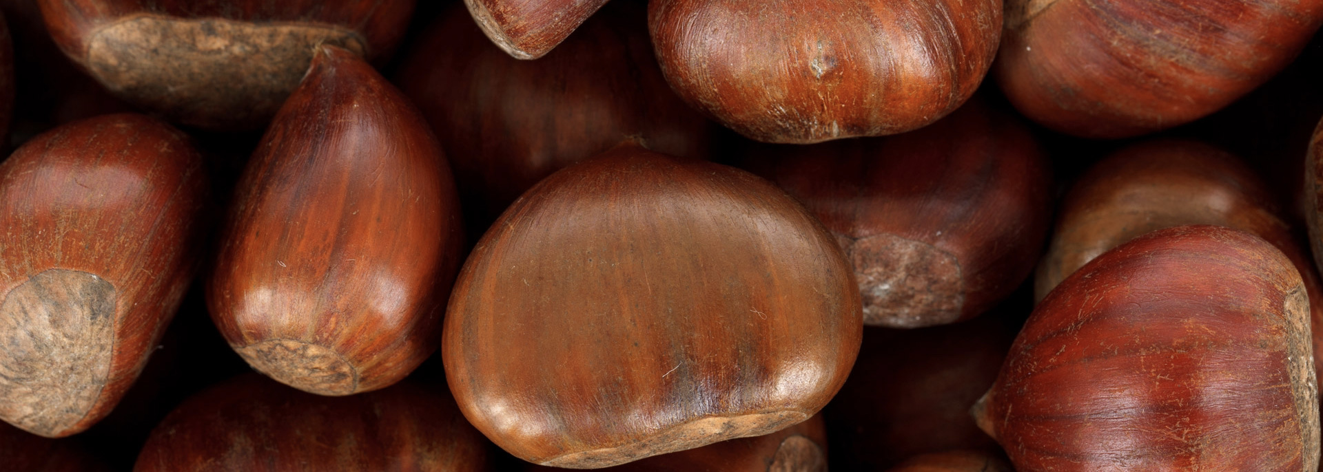 Chestnuts Roasting on an Open Fire: a Story of Tradition and Versatility