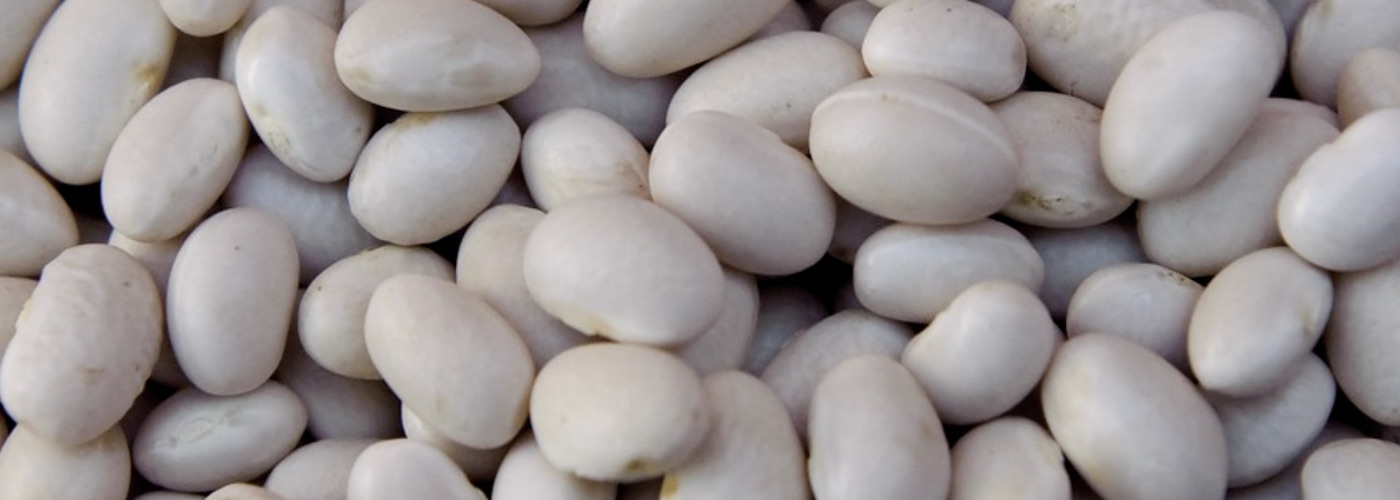 Catalonian PDO Legumes: A Culinary Gem