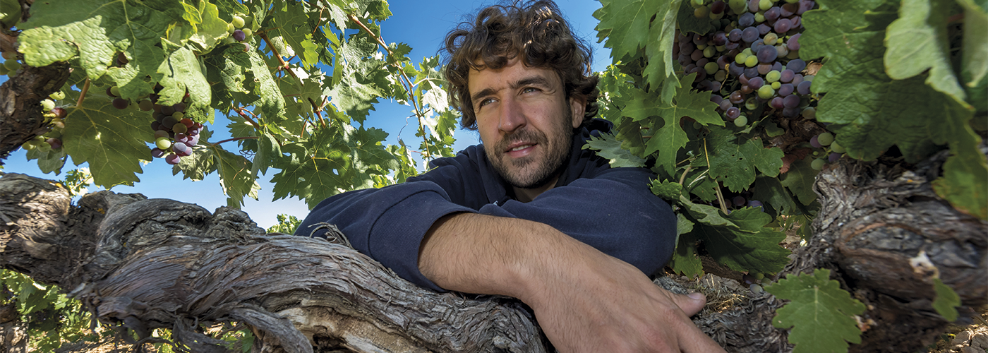 A New Generation of Spanish Wine Growers | Foods and Wines from Spain