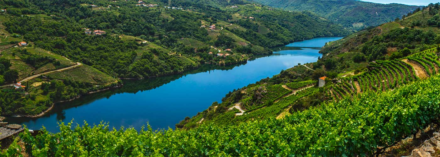 Ribeira Sacra, The Heroic Wine Region | Foods and Wines from Spain