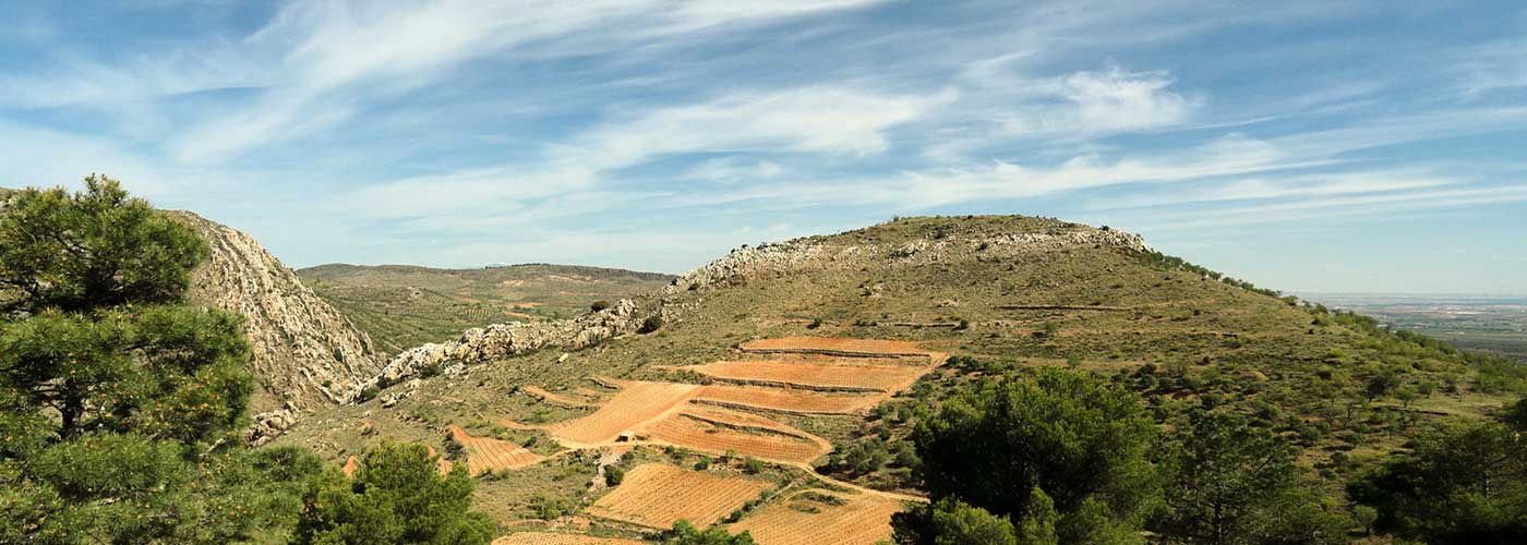 Spain, home to Europe’s highest altitude vineyards | Foods and Wines ...