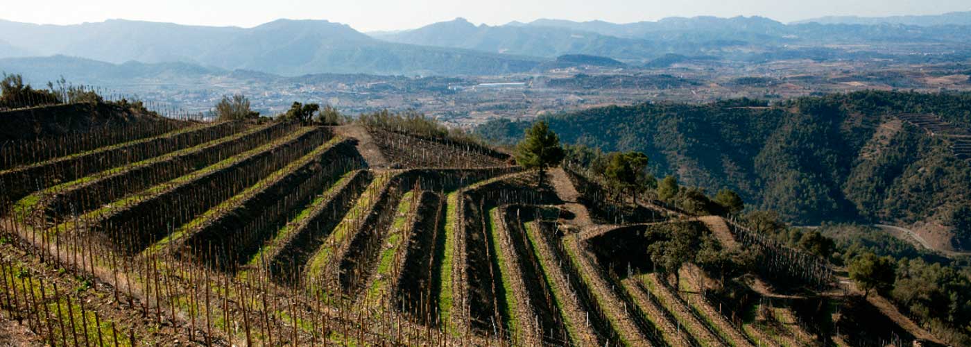 Power and Glory: The Red Wines of Priorat
