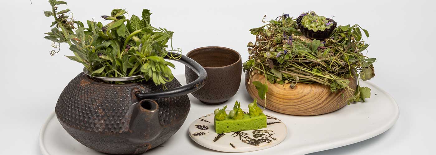 Madrid Fusión 2021, Sustainable Hope For Global Gastronomy