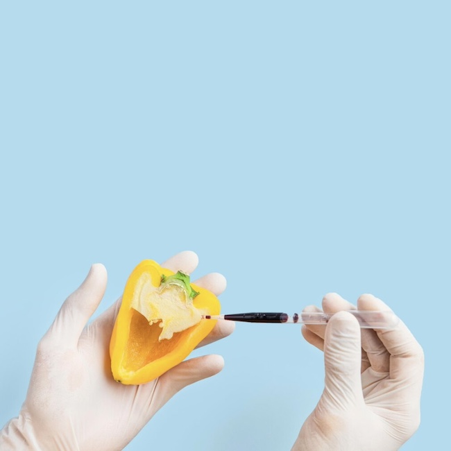 From Lab to Plate: a Spanish Journey of Tech Transfer