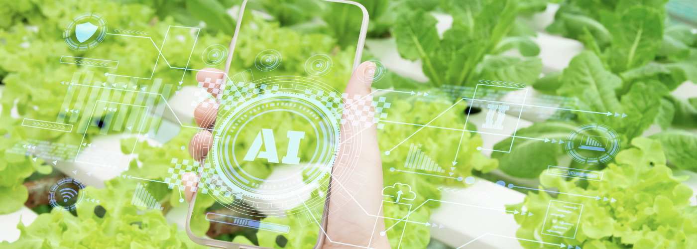 Technologies Ensuring Food Safety Along the Value-Chain