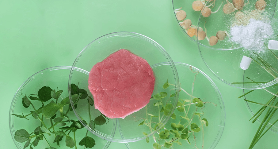 Switzerland-Spain Foodtech Ecosystem Sessions 2023