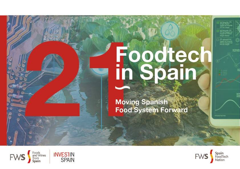 Foods and Wines from Spain. Everything you should know about Spanish ...