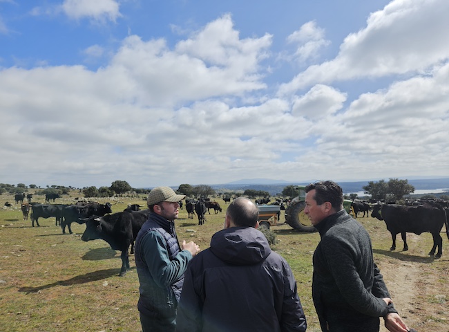 International Experts Visit FIGAN Trade Fair 2025