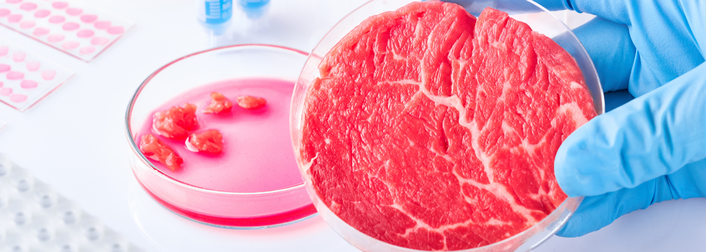 JBS buys Biotech Foods