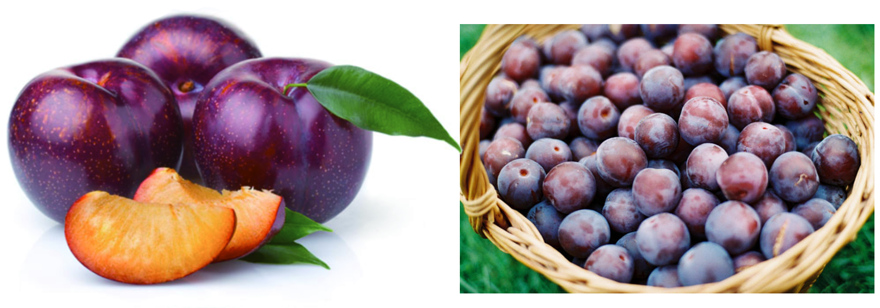 SPANISH FRUIT WEEK 2020 IN GUANGZHOU | Foods from Spain