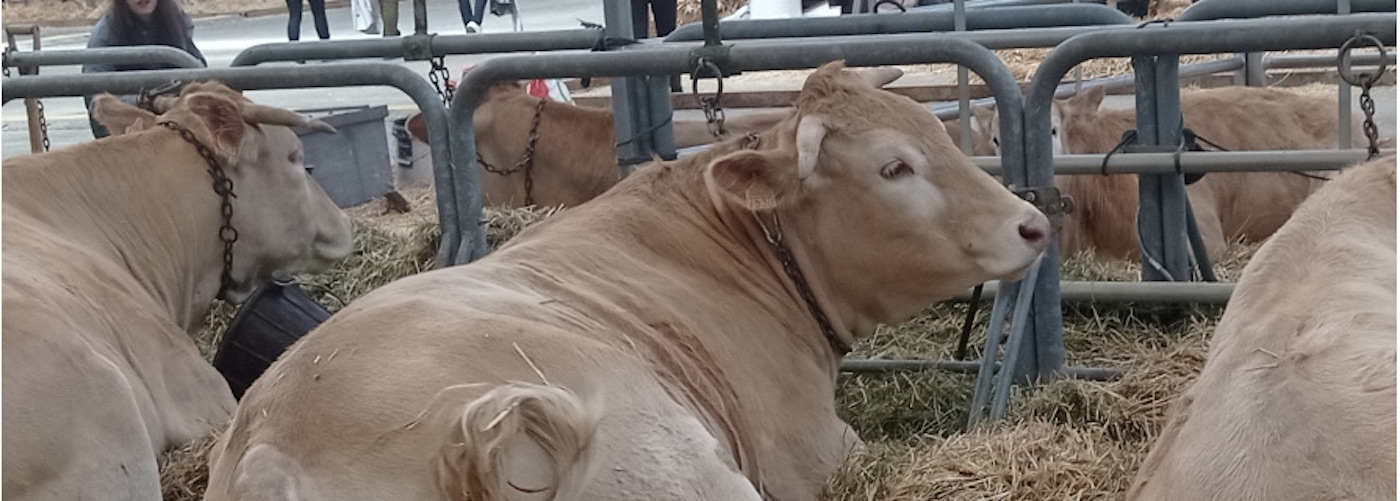 FIGAN, an International Reference for the Livestock Sector