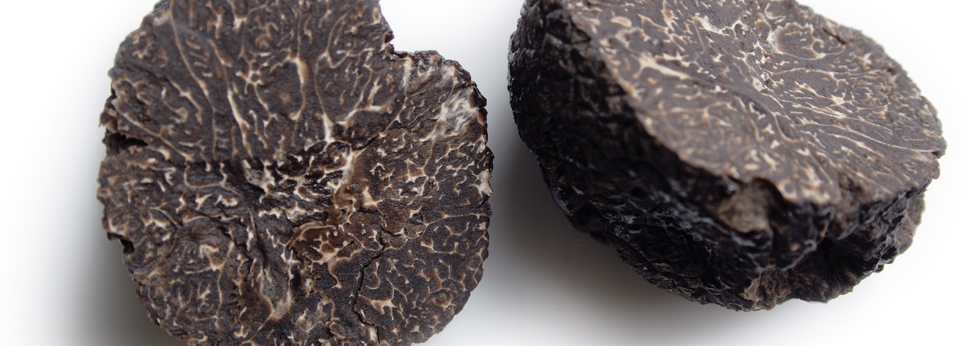 Spanish Black Truffle in the Spotlight