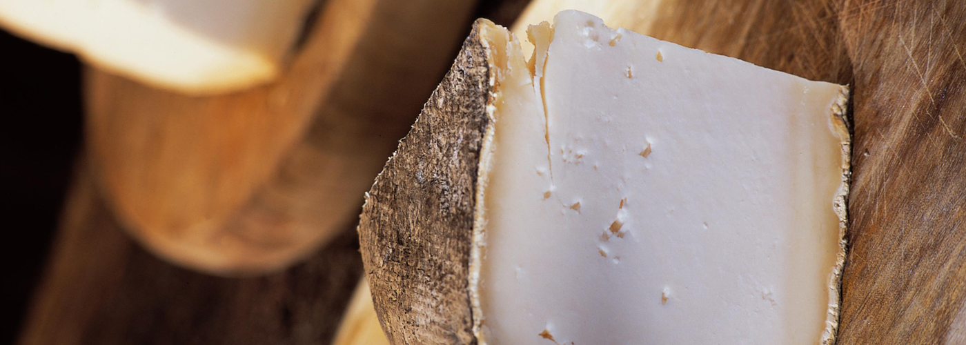 Garrotxa cheese | Foods and Wines from Spain