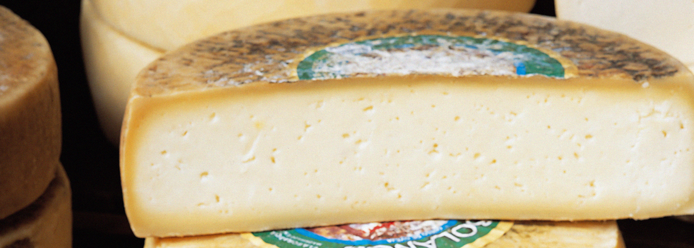 Queso Palmero PDO | Foods and Wines from Spain