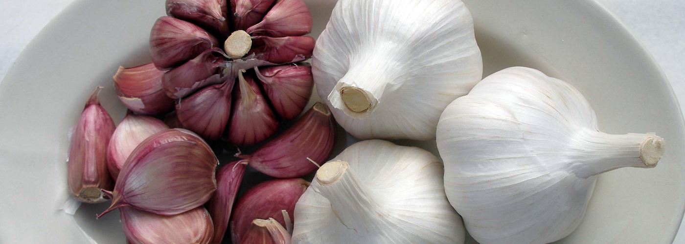 Ajo Morado de Las Pedroñeras PGI | Foods and Wines from Spain
