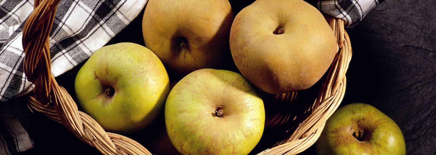 Manzana Reineta del Bierzo PDO | Foods and Wines from Spain