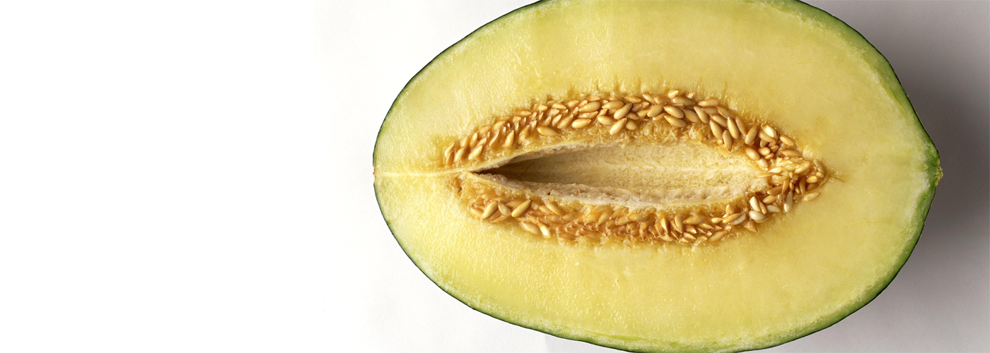 Melón de La Mancha PGI | Foods and Wines from Spain