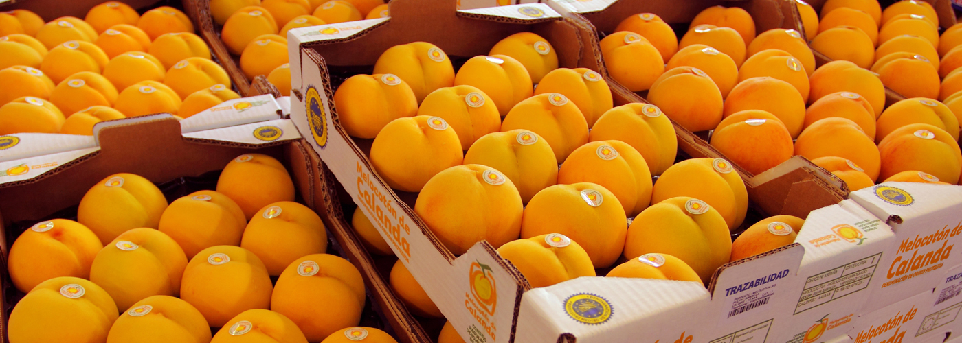 Peach of Calanda PDO | Foods and Wines from Spain