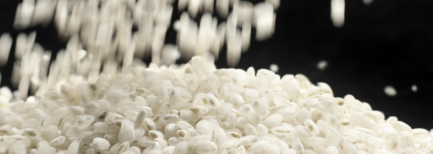 Rice from Delta del Ebro PDO | Foods and Wines from Spain