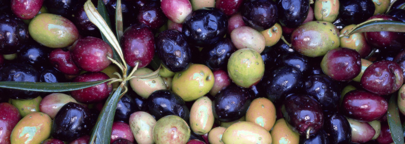 Antequera PDO | Foods and Wines from Spain