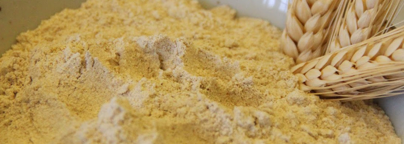 Toasted meal Canario PGI | Foods and Wines from Spain