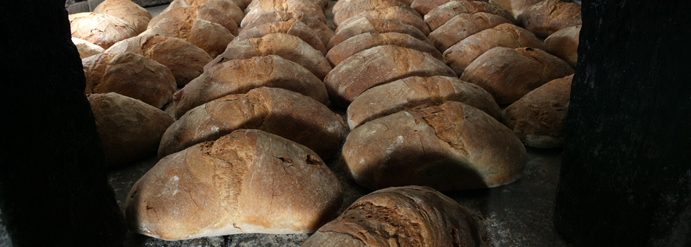 Pan de Cea PGI | Foods and Wines from Spain