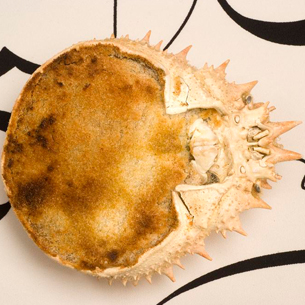 Baked spider crab | Foods & Wines from Spain