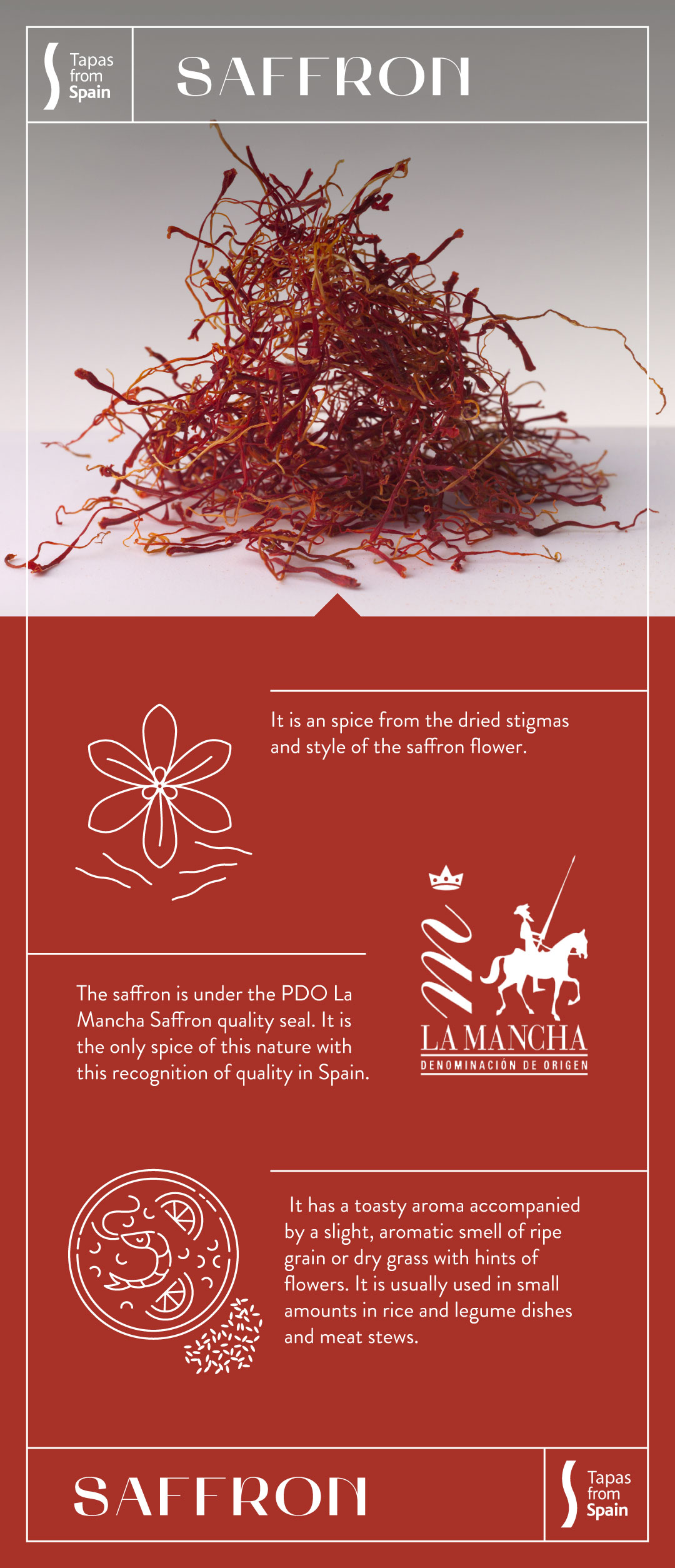 Saffron from La Mancha PDO | Foods & Wines from Spain